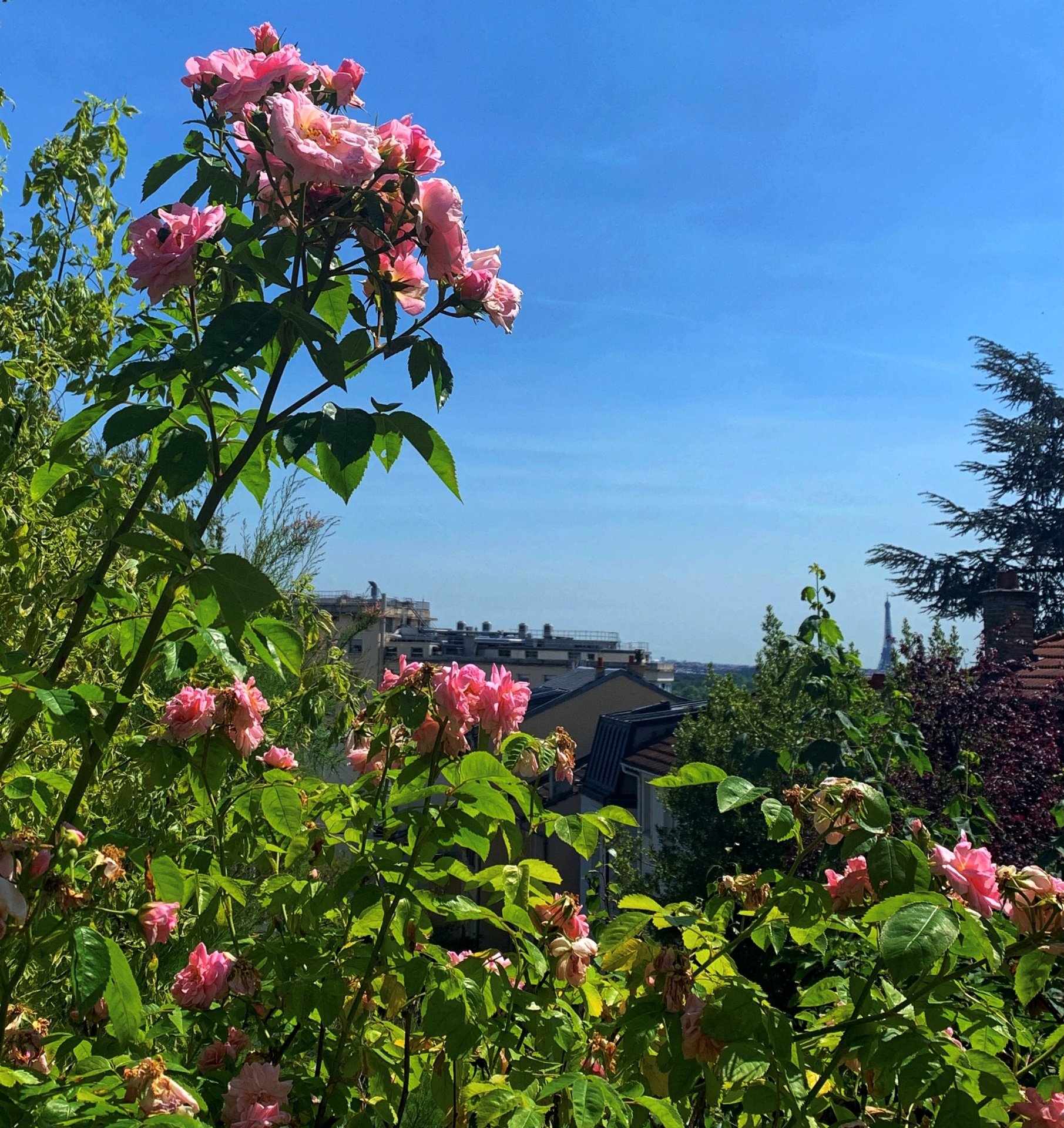 Office de Tourisme de Suresnes proche de Paris.